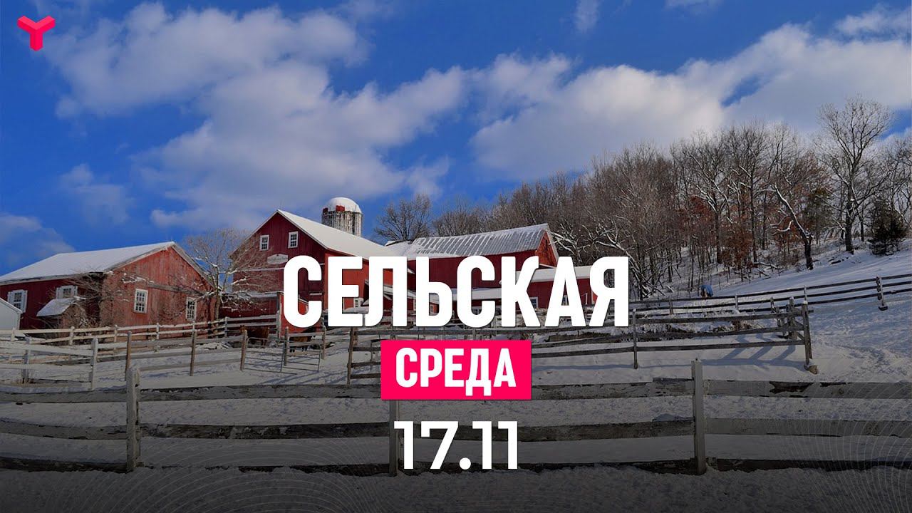 Сельская среда 17.11.2021