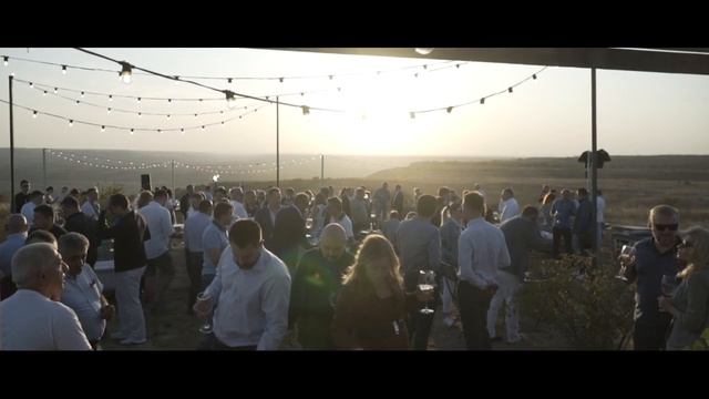 КИНО, ВИНО И ДОМИНО. Клиентское мероприятие на виноградниках