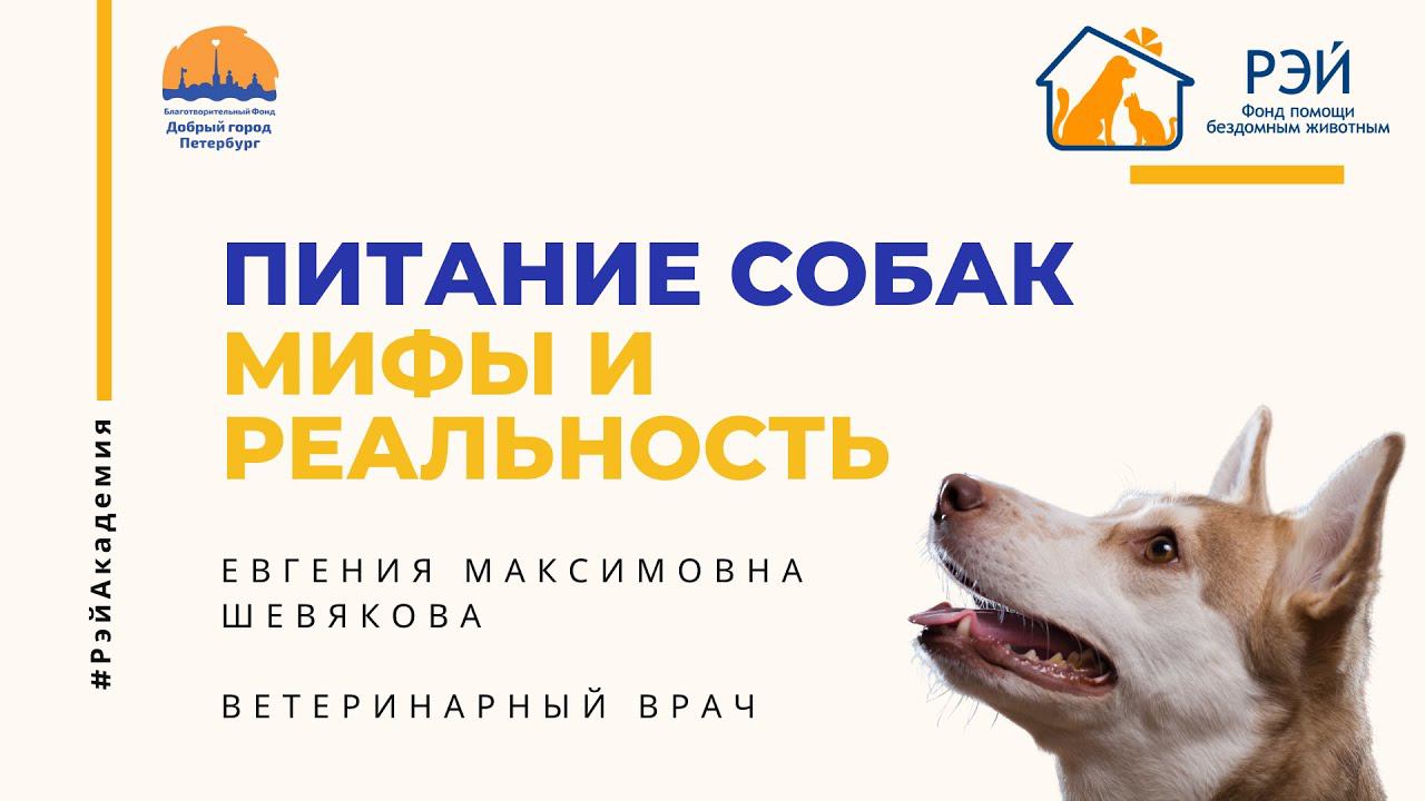 Питание собак. Мифы и реальность