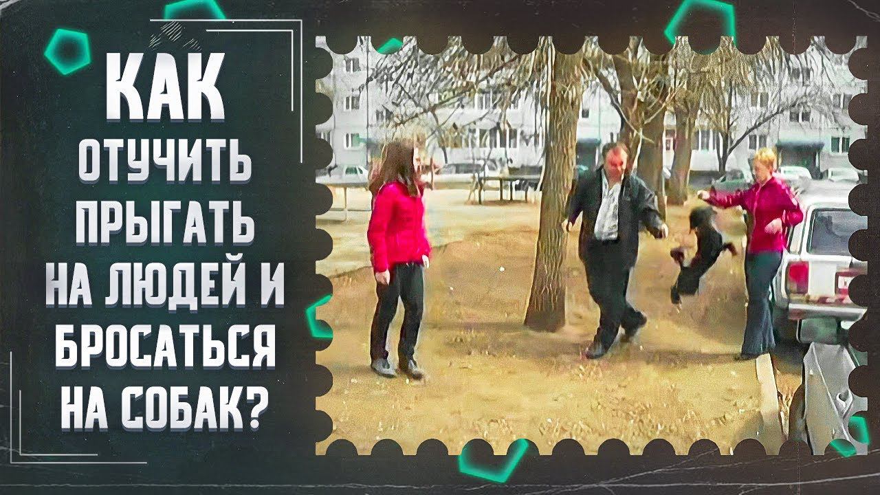 Как отучить прыгать на людей и бросаться на собак(один из способов)