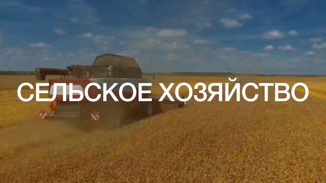 2021 год в Талдомском округе за 137 секунд