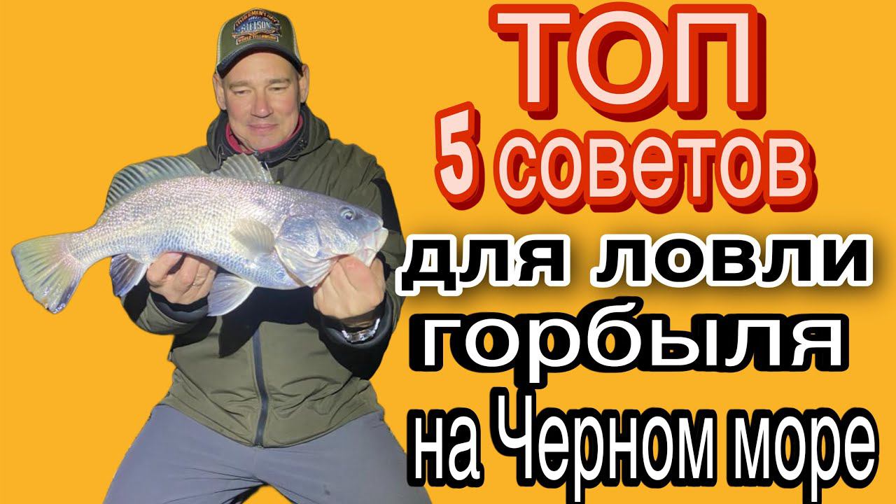 Советы для ловли горбыля на Черном море.