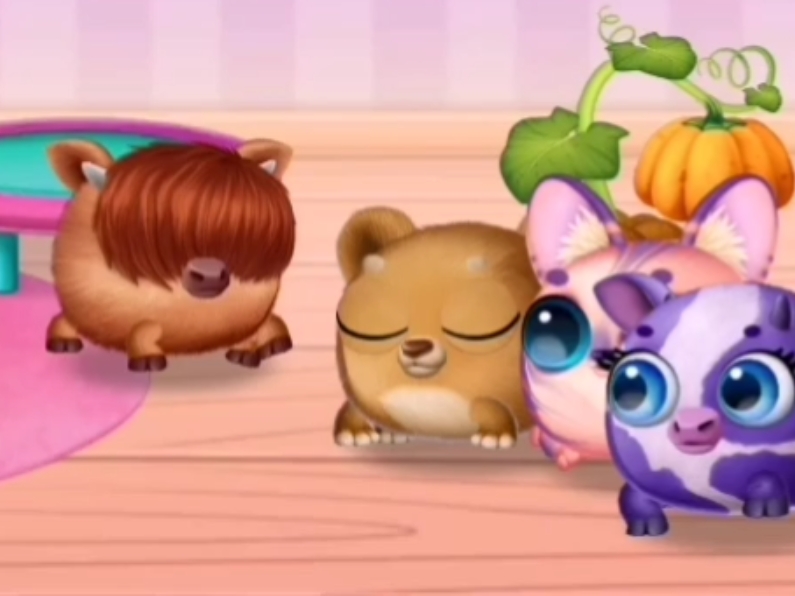 Кто съел тыкву ?