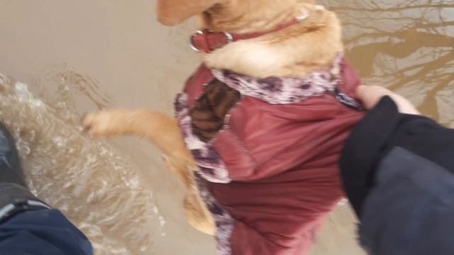 Прогулка по воде.