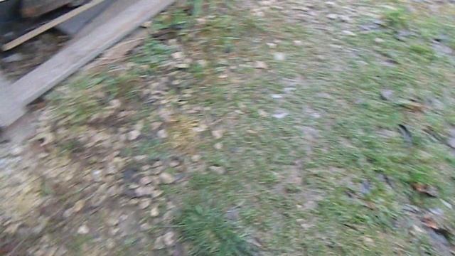 Дом для пенсионеров. Ступени, самые удобные по мнению жены и по моему тоже. Размеры.