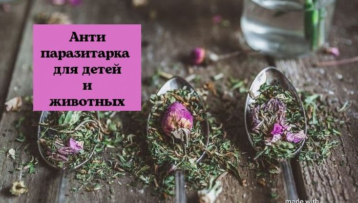 Антипаразитарка для детей и животных