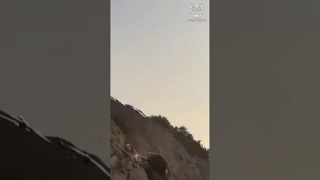 Грациозные полёты над морем.