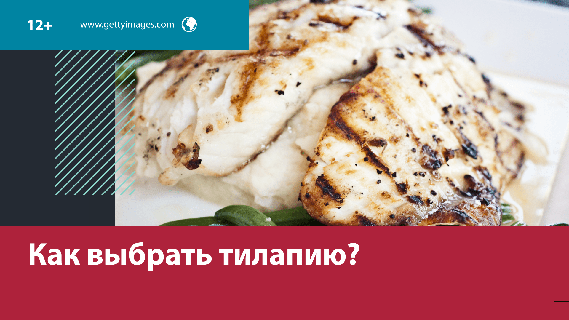 Как правильно выбрать тилапию — Москва FM