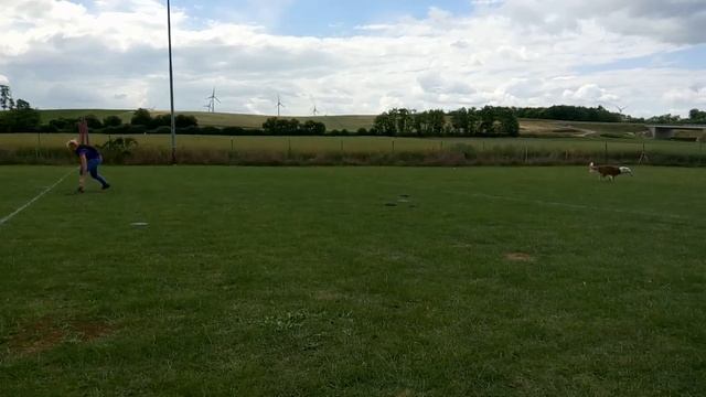 Qualifier Austria'17  Eva & Magic.mp4