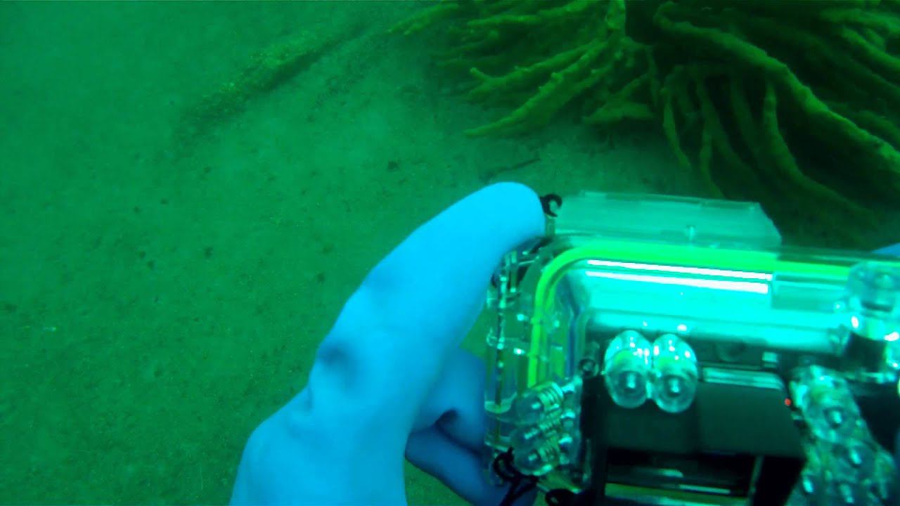 03-09-2011 - Diving на о.Ольхон