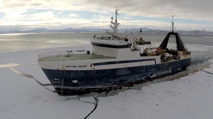 Арктик Лидер