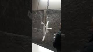 Презентация завода вакуумных подъемников и кранов EBERLE s.r.l. Качество на протяжении 30 лет!