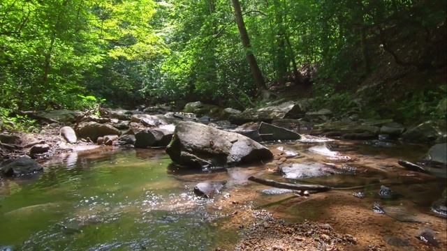 Расслабляющая Музыка ⦁ Снятие Стресса ⦁ Учеба ⦁ Музыка для Глубокого Сна