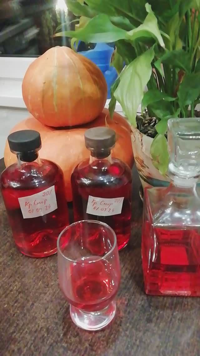 Разлил по бутылочкам сладкую настойку из Красной смородины.