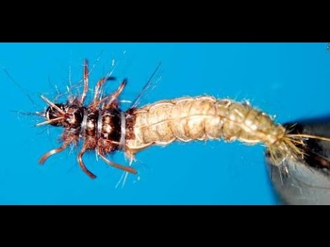 Мушка Free Living Caddis Nymph.
