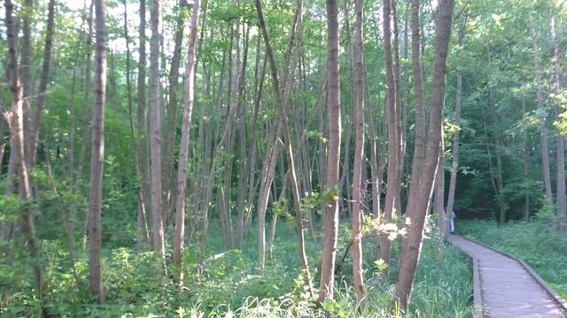 Прогулка к озеру Арресё вдоль канала. Арресё -  самое большое озеро в Дании. 2 июля 2022