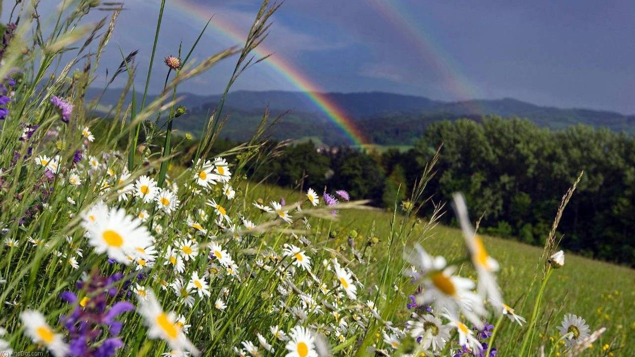 Ирина Расшивалова  "Я,  наверное, в лето влюбилась" читает Любовь Б.