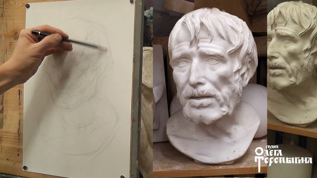 Построение головы Сенеки