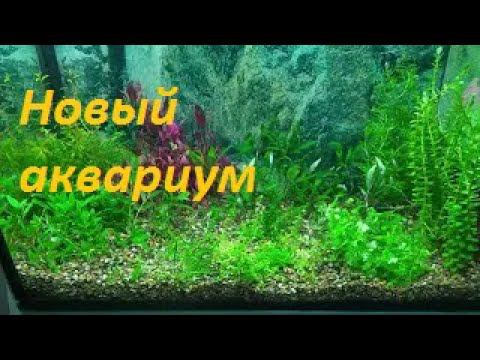 Плюс один новый аквариум! Очередная высадка растений. (Архив от 1.12.2021)