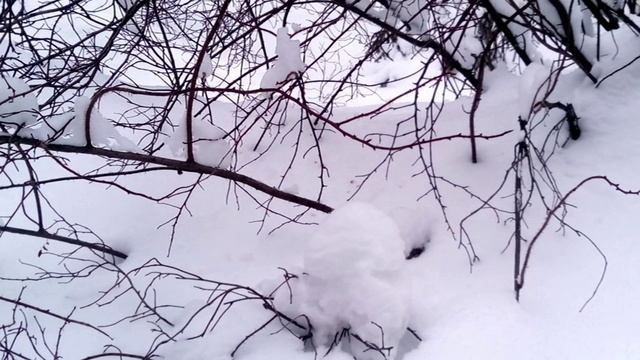 2. Зима. 05.02.2022