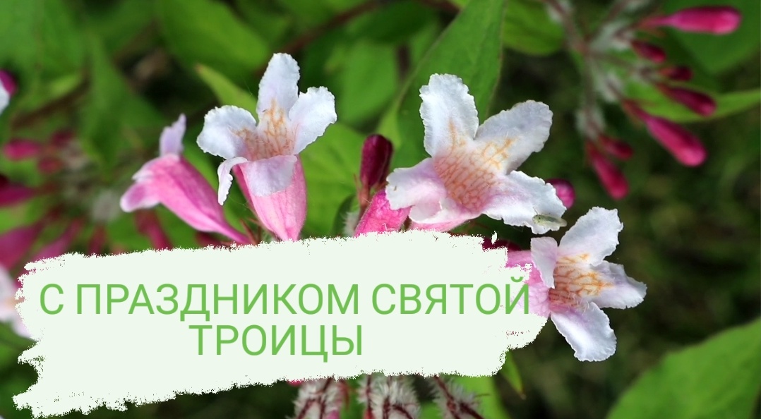 12.06.2022 г. С ПРАЗДНИКОМ СВЯТОЙ ТРОИЦЫ!