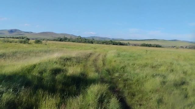 12.07.2024. В поход на Газ - 66 " Шишига" за берёзовыми вениками и чернями для с/ х инвентаря