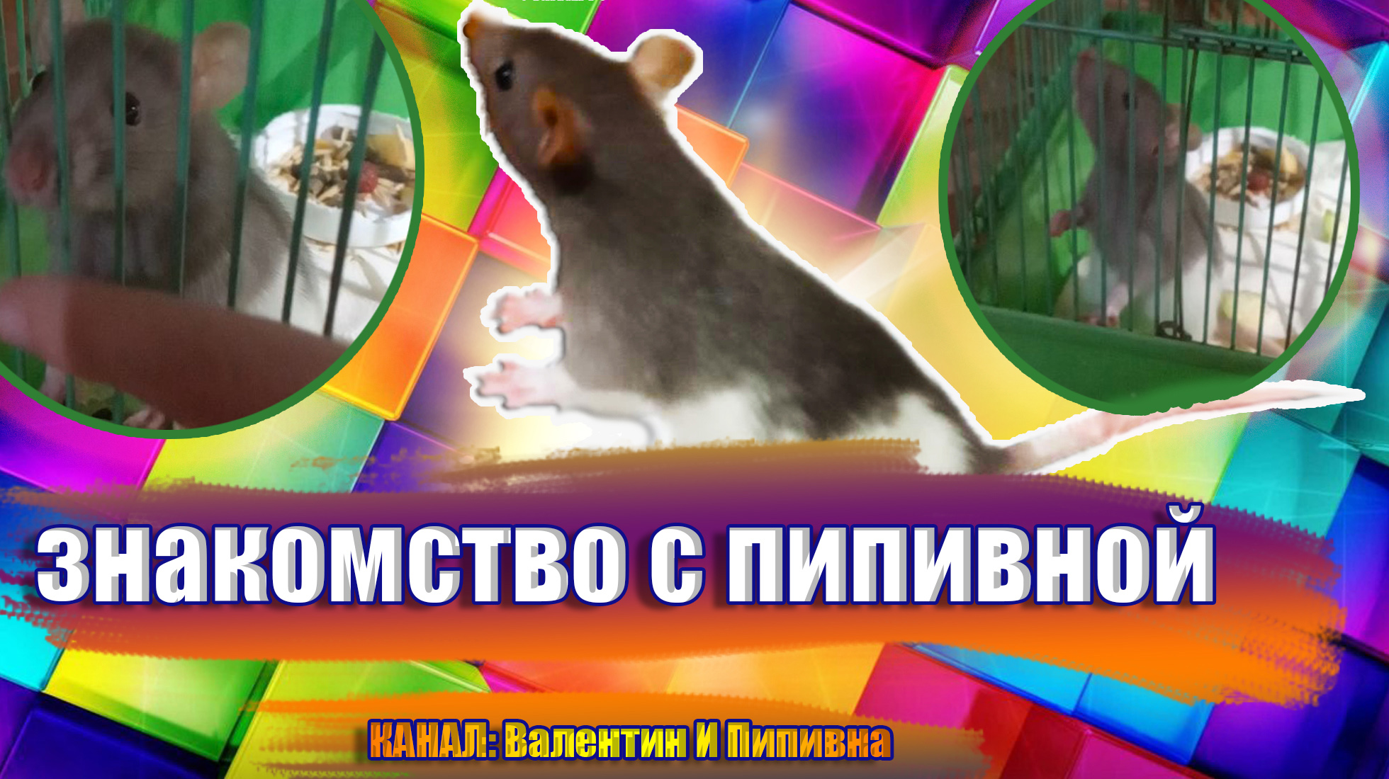 ЗНАКОМСТВО С ПИПИВНОЙ