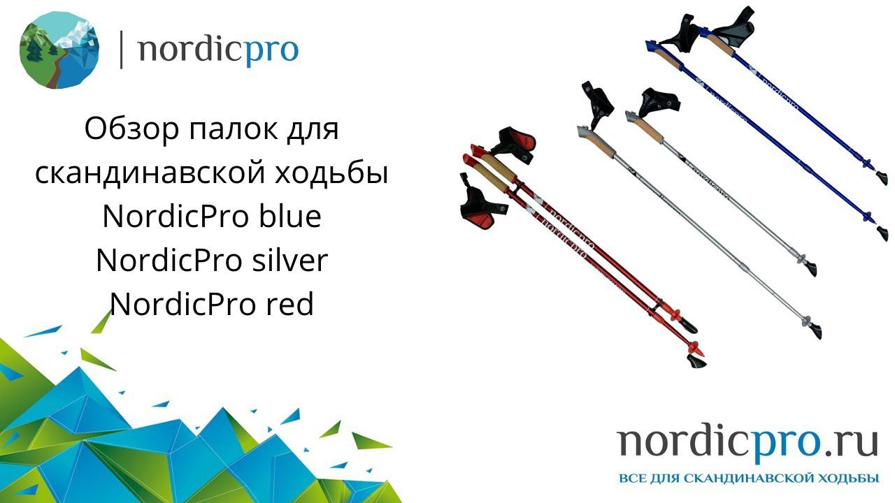 Бюджетные телескопические палки NordicPro Blue, Silver, Red