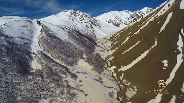 Showreel выпуск № 88