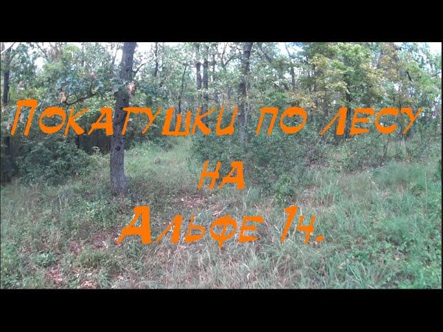 Покатушки по лесу на мопеде Альфа 1ч.