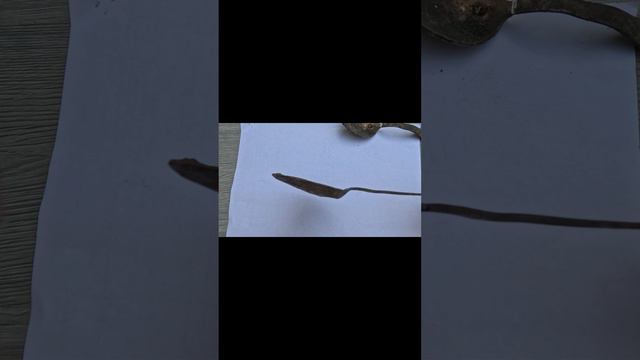 Что за черпало?
#старина #медная ложка #коп #копатель #находки#shorts