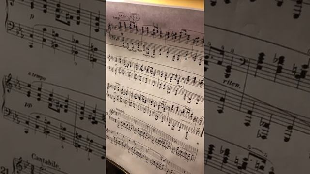 Шопен Прелюд ор.28#20 до минор Пульс, ритм