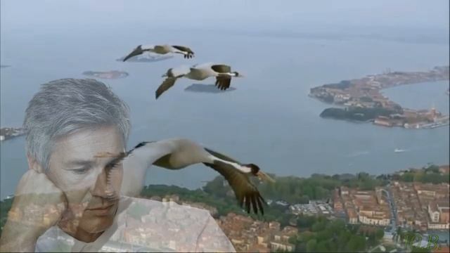 анс. Воркутинцы. Здесь под небом чужим..mp4