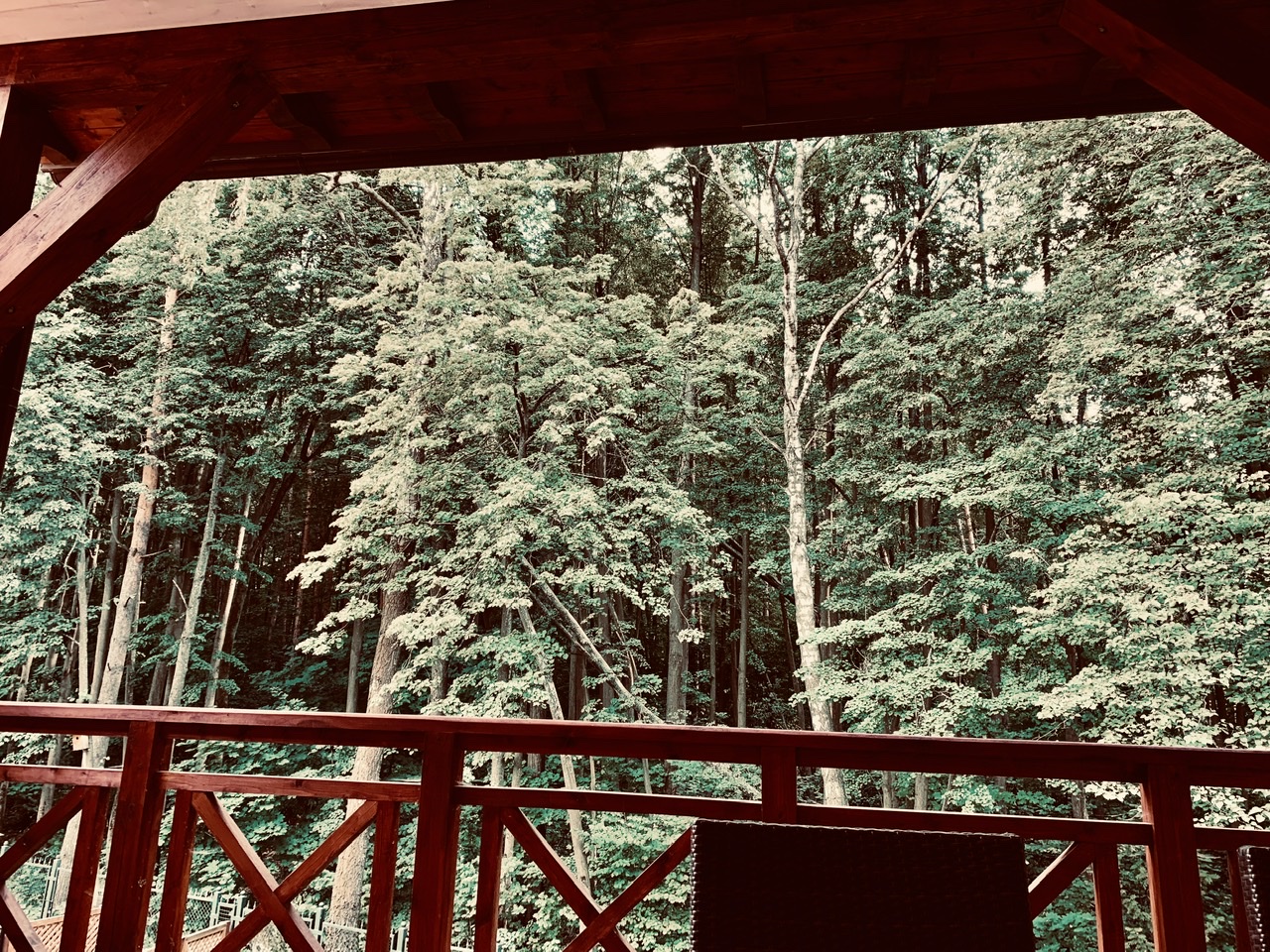 ВИД НА ЛЕС С ТЕРРАСЫ ЗАГОРОДНОГО ДОМА | ХИМКИ