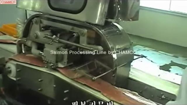 Линия переработки (разделки) красной рыбы (лососевые породы).