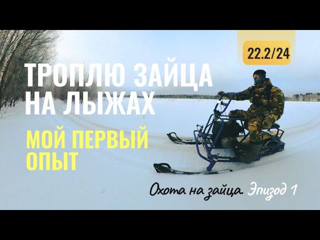 Охота на зайца. Тропление на лыжах. Первый опыт.