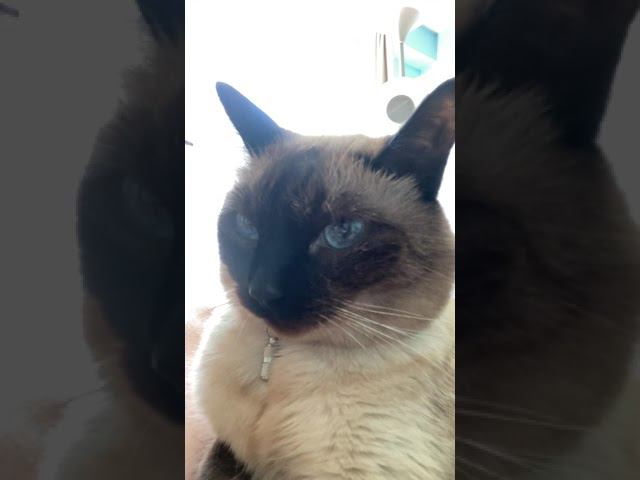 20210708 Семён Семёныч