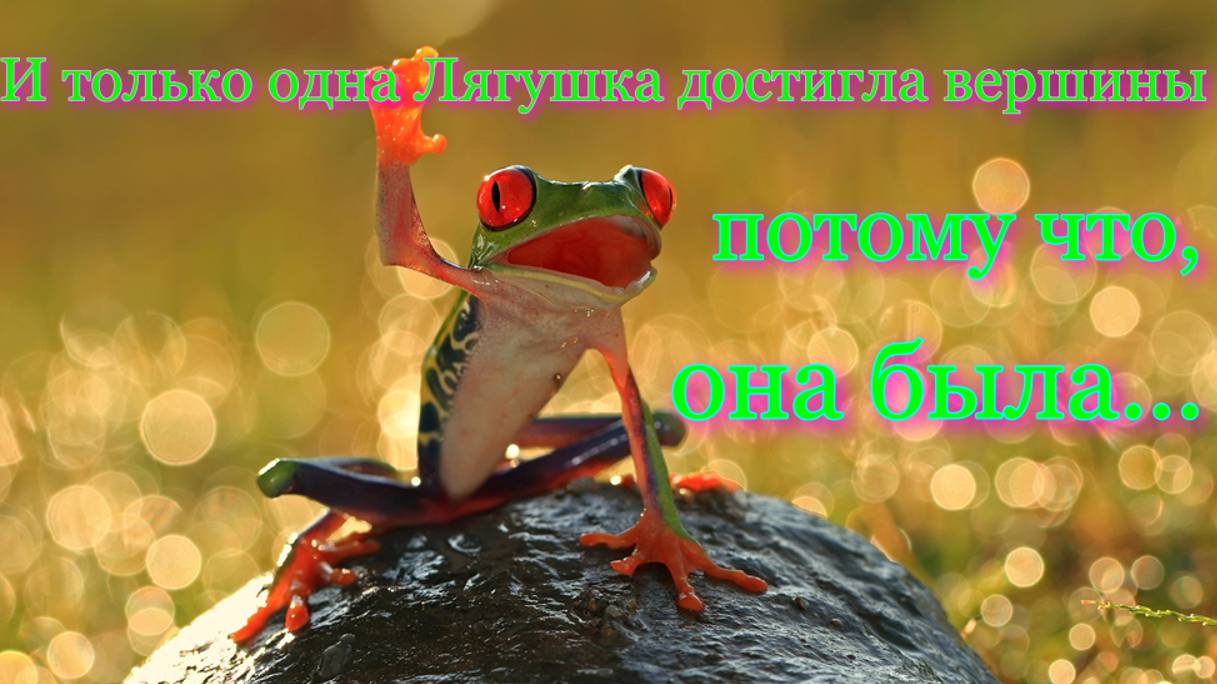 Волшебный Ворон. Притча Мудреца 10: о Лягушке.