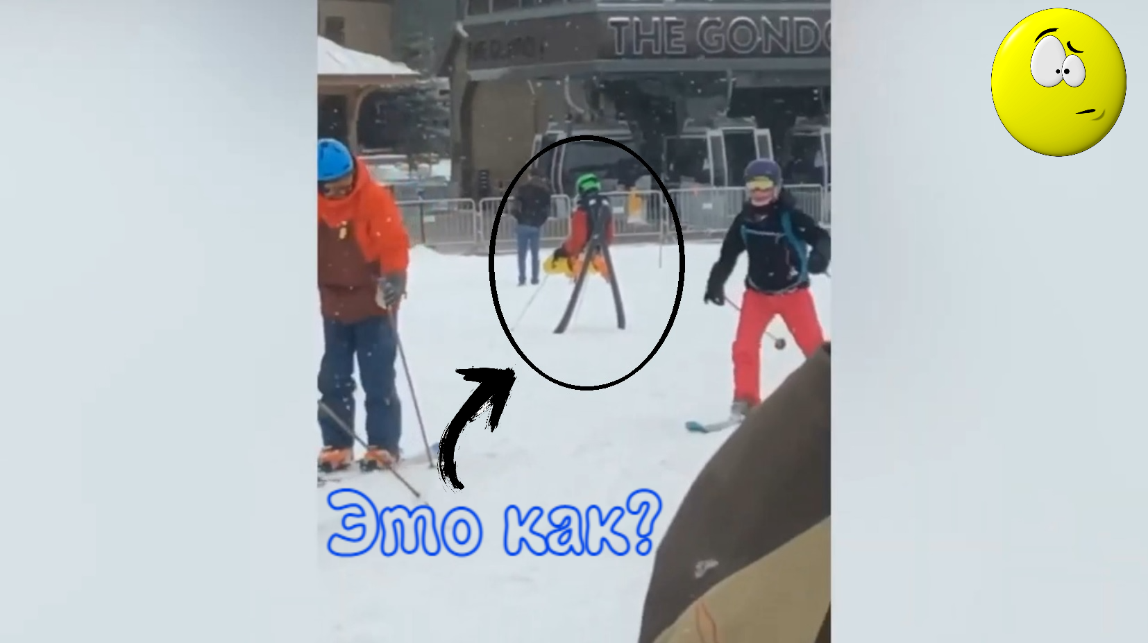 ПОДБОРКА С ЖИВОТНЫМИ И ВСЯКОЙ СМЕХОТОЙ #1