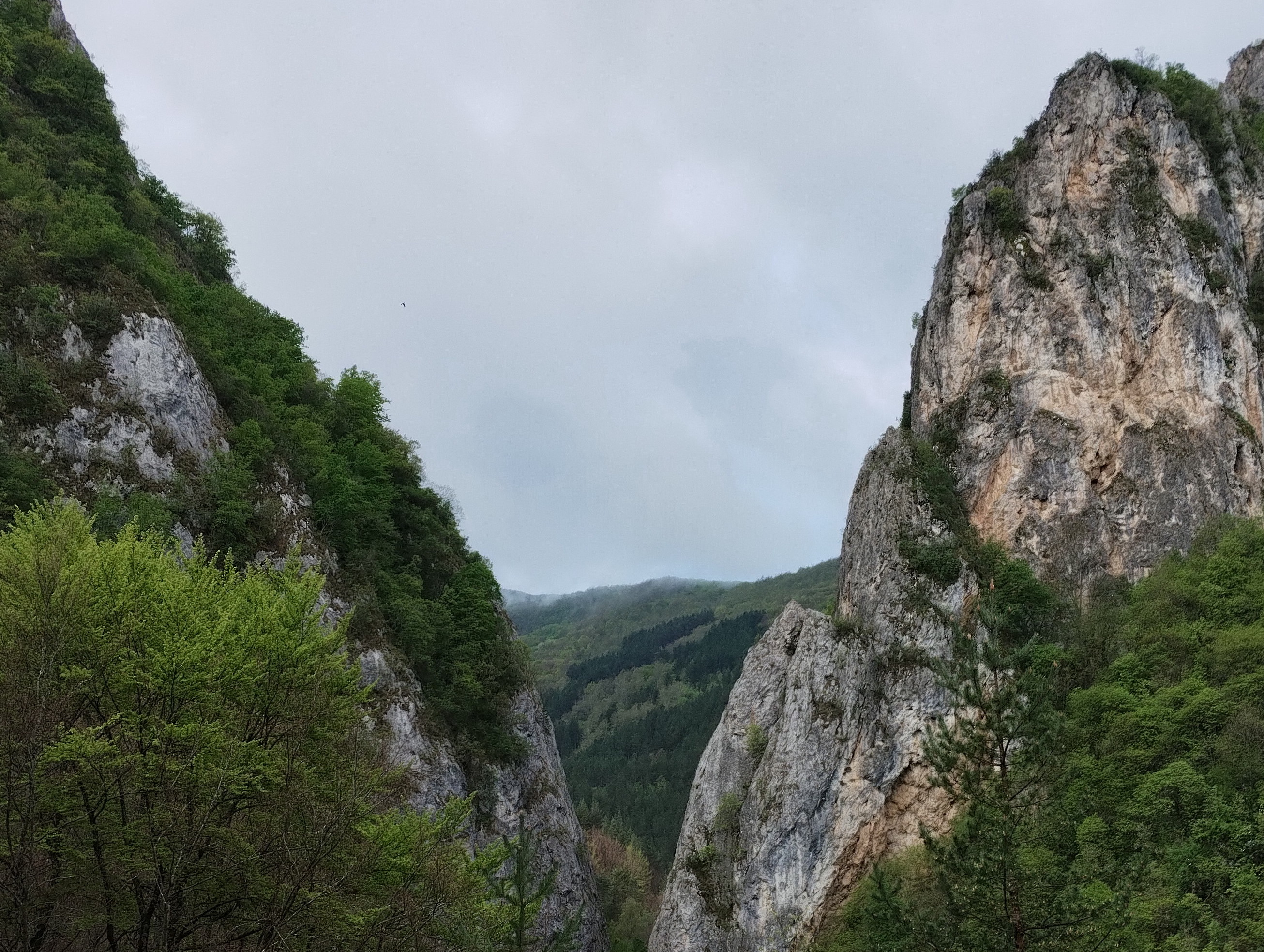 Неповторимата красота на Югозападна България /част 94/. Богойна, община Трън