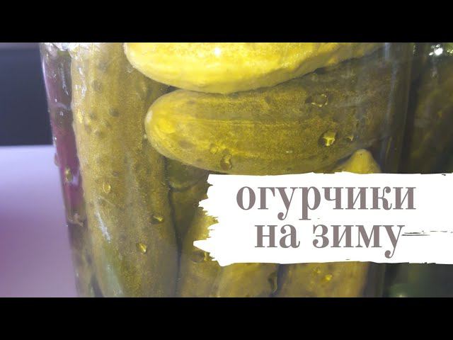 МК засолки огурцов на зиму (холодным способом) без уксуса и стерелизации