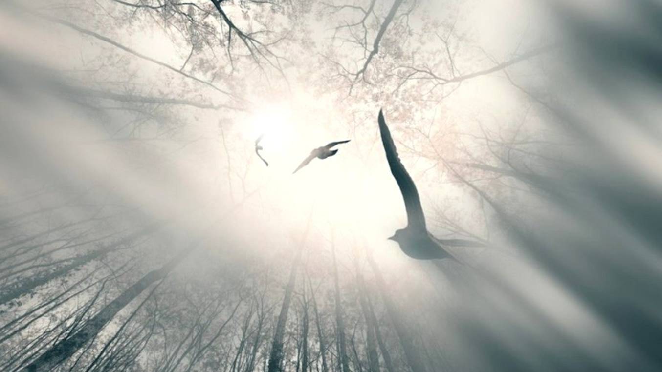 Песня:"Я УЙДУ УБЕГУ..." Стихи: Николая Гумилёва. Музыка, аранжировка, исполнение — Елены Артёменко