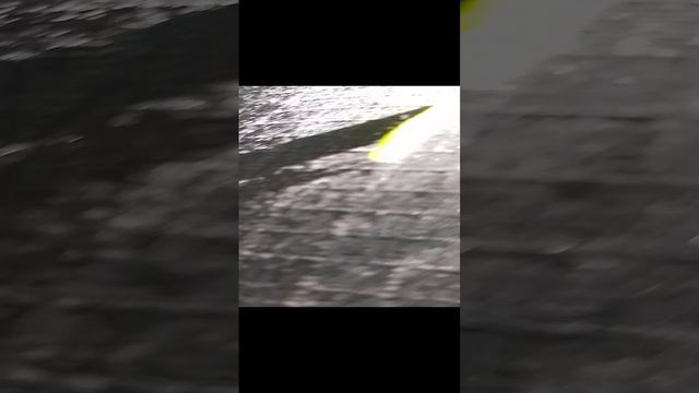 ползет #насекомое #гусеница #бабочка #природа #зеленая #подпишись #рекомендация #shorts