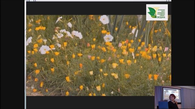 Выращивание земляники.