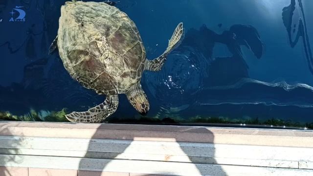 Круиз по Ликии