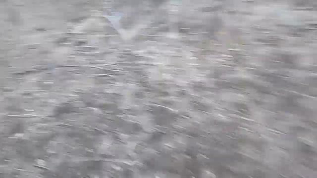 Расчистка Участков Под Посадку Клубники И Винограда _16.01.2020