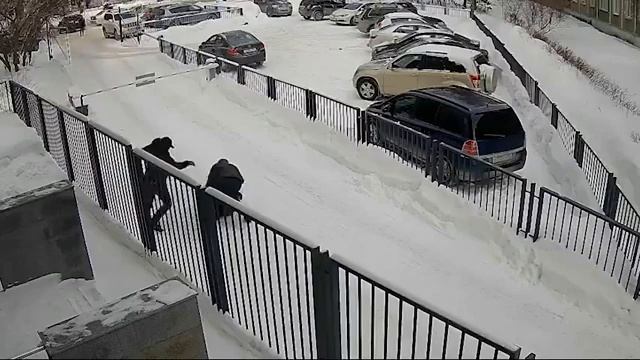 У бизнесмена отобрали сумку с 15 000 000 рублей