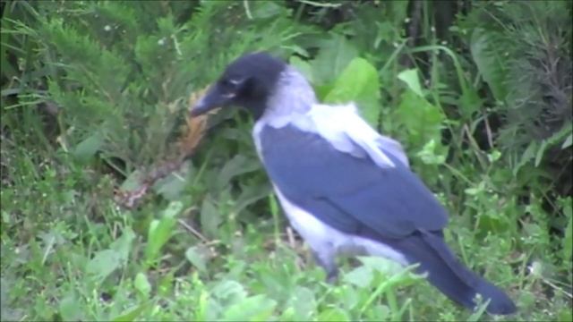 Когда родители уже перестали кормить, а кушать хочется