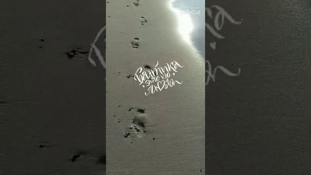 Балтика - это по любви!