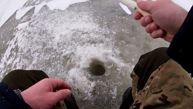 Ловля окуня на блесну зимой.Тут окунь ест всё!!!!